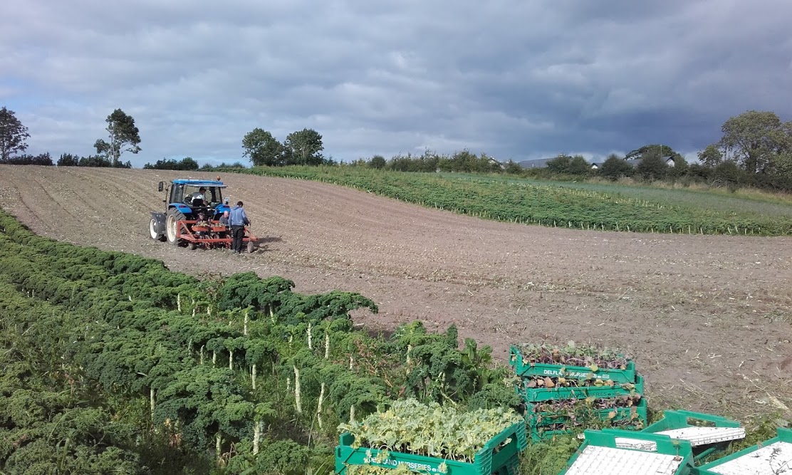 Meet the Team - Beechlawn Organic Farm